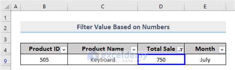 How To Perform Custom Filter In Excel 5 Ways Exceldemy