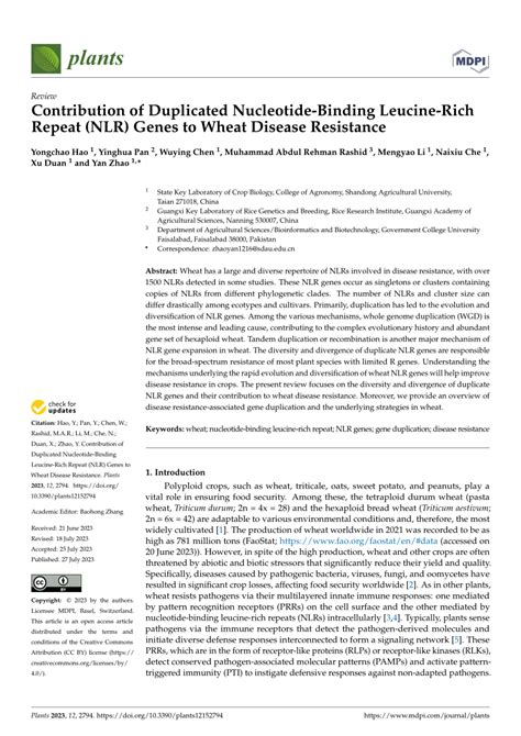 Pdf Contribution Of Duplicated Nucleotide Binding Leucine Rich Repeat Nlr Genes To Wheat