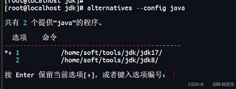 【linux】安装多个jdk并自动切换linux 动态切换jdk Csdn博客