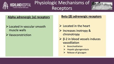 Vasopressors And Inotropes Youtube