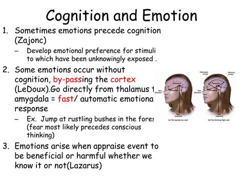 Ppt Emotion Powerpoint Presentation Free Download Id6566905