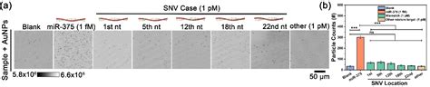 A Target Recycling Amplification Process For The Digital Detection Of Exosomal Micrornas Through