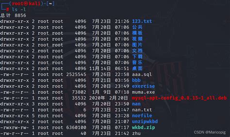 复现 使用kali生成木马，渗透windows系统 kali渗透win10 csdn博客