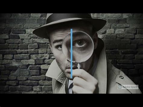 Cómo Usar Netstat Para Obtener Estadísticas De Red Una Guía Paso A Paso Para Principiantes Renel