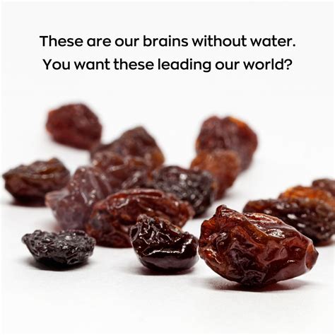 Our Brains Are Made Up Of About 78 Water When We Are Dehydrated As
