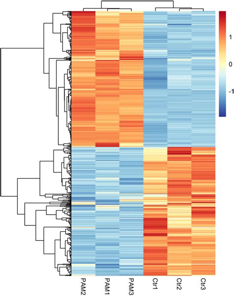 Global Changes Of DEGs Across All Samples Hierarchical Clustering Of