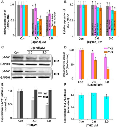 Cell Penetrating Thiazole Peptides Inhibit C Myc Expression Via Site Specific Targeting Of C Myc