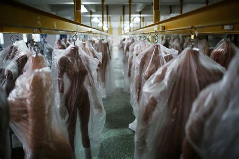 Perfect Methods To Storage Life Size Sex Dolls