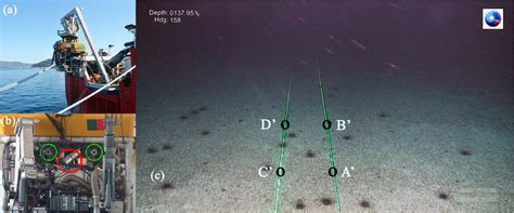 Surface And Underwater View Of The Camera And Laser Optical System Download Scientific Diagram