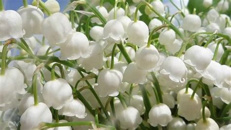 Благодійний фонд «Разом З початком повномасштабного вторгнення росії та окупації частини