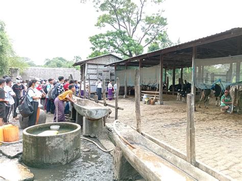 ရွှေတောင်မြို့နယ် စိုက်ပျိုးရေးနှင့်မွေးမြူရေး အထက်တန်းကျောင်း ကျောင