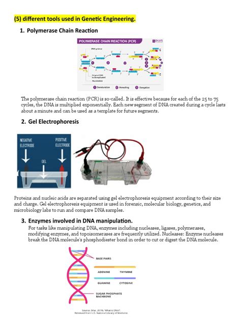 Tools Used In Genetic Engineering Pdf