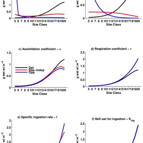 Model Biomass Response To Parameter Settings Download Scientific Diagram