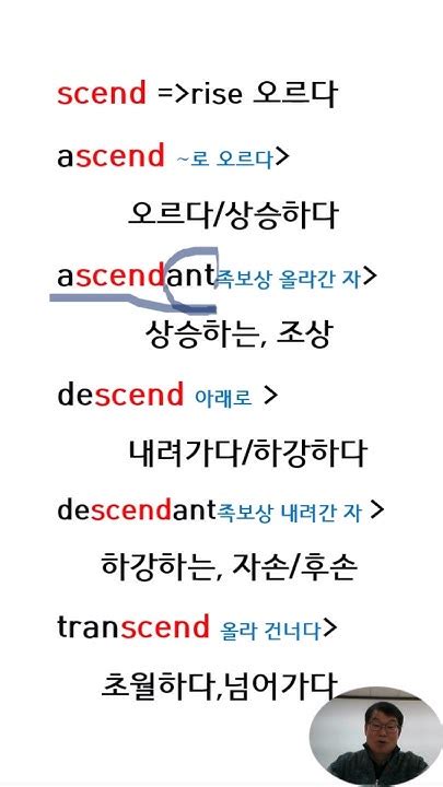 영어단어 쉽고오래기억되게 외우는 법 340개 어원으로 단어암기 끝내기 중등 속성보카 중등 필수단어 고등필수단어 수능필수 단어 편입필수 속성보카 토익 필수