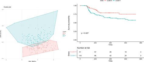 Machine Learning Based Cluster Analysis Identifies Patient Phenotypes For Risk Of Atrial