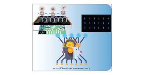 Boosting Electrochemiluminescence Immunoassay Sensitivity Via Copt