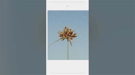 বাকি দেয়া বন্ধ । বাকি চাহিয়া লজ্জা দিবেন না । Youtube