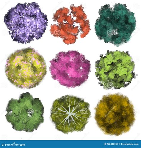 Set Of Architectural Plans Trees Isolated On White Background Bushes And Shrubs Top View For