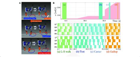 Walk Trot Gallop Transitions Of A Quadruped Robot Achieved By Download Scientific Diagram