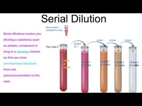 Serial Dilution Sources Of Error In Measurements Lasopawm
