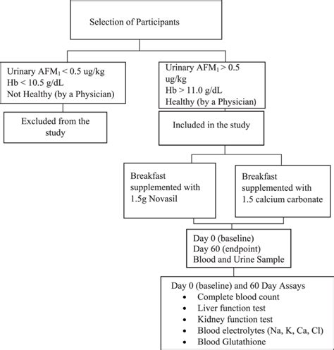 Experimental And Sampling Framework For The Study Download Scientific Diagram