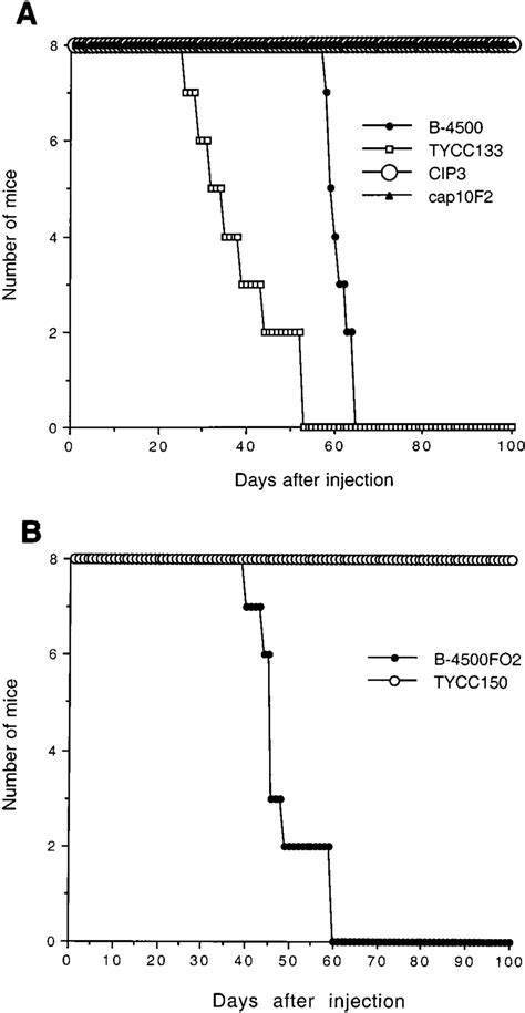 Virulence Test Groups Of Eight Mice Each Were Injected With About 10 6 Download Scientific