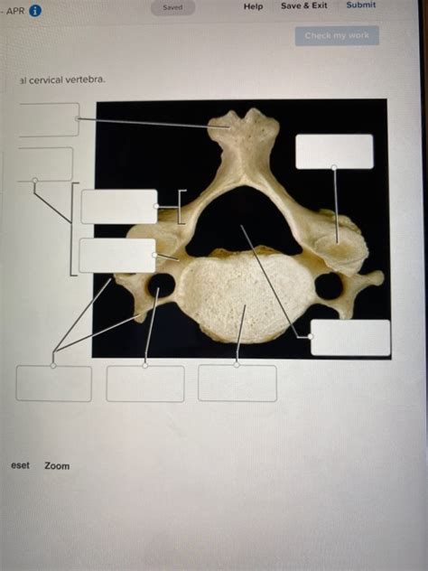 solved saved apr 0 help save and exit submit check my work
