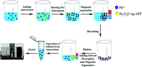 Schematic Diagram Of Preconcentration Of Pb²⁺ Ions By Aptamer Download Scientific Diagram