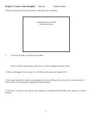 Project Answer Sheet Docx Project Create A Size Standard Section Babe Name