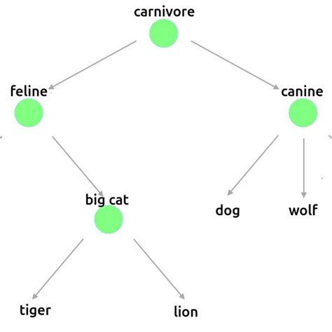 Wordnet Directed Acyclic Graph Each Node Corresponds To A Synset And