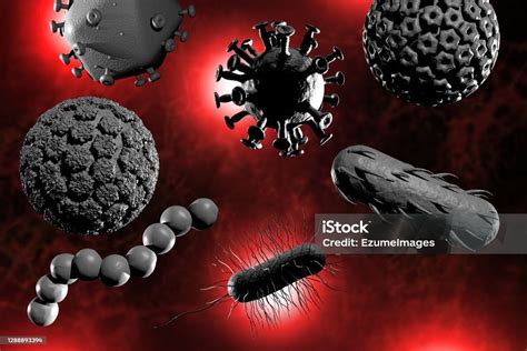 박테리아 바이러스 감염 3d 일러스트 사람유두종바이러스에 대한 스톡 사진 및 기타 이미지 사람유두종바이러스 성병 3차원 형태 Istock