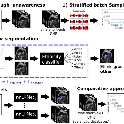 Diagram Showing The Different Strategies Used For Bias Mitigation Download Scientific Diagram