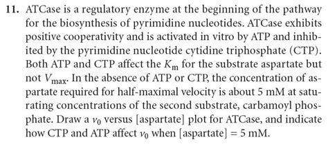 Solved Atcase Is A Regulatory Enzyme At The Beginning Of The