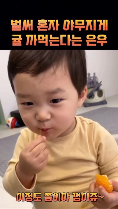 벌써 혼자 야무지게 귤 까먹는 은우🤣 Shorts 은우 Youtube