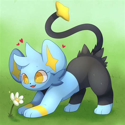 Shinx By Usv02 On Deviantart