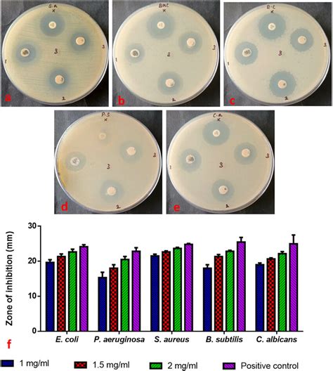 Antimicrobial Activity Of A Znotio2chitosanescin Bio Nanocomposites Download Scientific