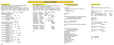Implement VxLAN EVPN To MPLS SR Handoff In Nexus Cisco