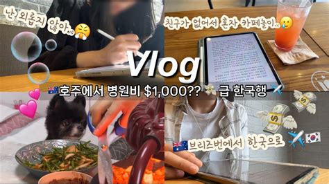 🇦🇺호주 브리즈번 병원비 1000 💸🤯정밀검사하러 급 한국행 ️ 해외에서 9년 살은 죄 친구가 하나도 없다🥲한국에서 혼자 카페가고 책읽는 일상 브이로그