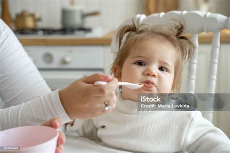 아기 소녀는 혼합 으깬 음식을 먹고 유아용 의자에 앉고 어머니는 아이를 먹이고 야채 점심을 위해 숟가락으로 손을 먹고 아기 이유식 아이를 위한 첫 번째 단단한 음식 아기