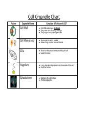 Understanding Cell Organelles: Functions and Structures for | Course Hero