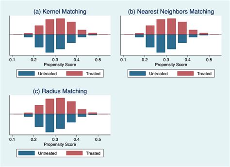 Overlap In The Support Of Covariates By Multiple Matching Strategies