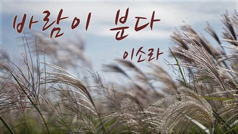 바람이 분다 이소라 가사 Youtube