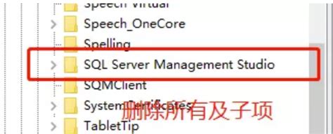 卸载SQL Server 图文教程 Nausicaä 博客园