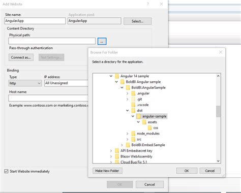 How To Host Angular With Aspnet Core Application In Iis