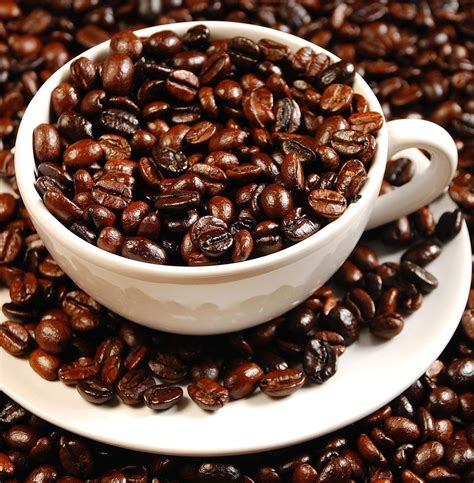 CÀ PhÊ HẠt CÔng Ty SỐ 1 Cung CẤp CÀ PhÊ NguyÊn ChẤt