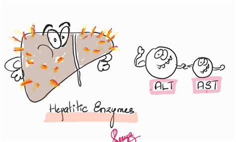 Medicowesome Hepatitic Lft Enzymes And Cholestatic Lft Enzymes Illustration