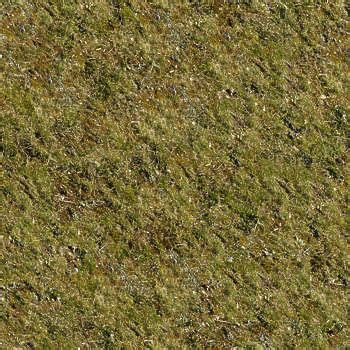 Green Hill Ground Texture