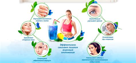 Пурпурный чай Чанг Шу — правдивые отзывы как купить в аптеке применение