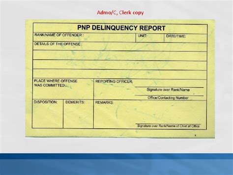 Supplemental Guidelines On The Delinquency Report System Strengthening