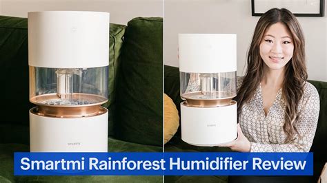Smartmi Rainforest Humidifier Review - YouTube